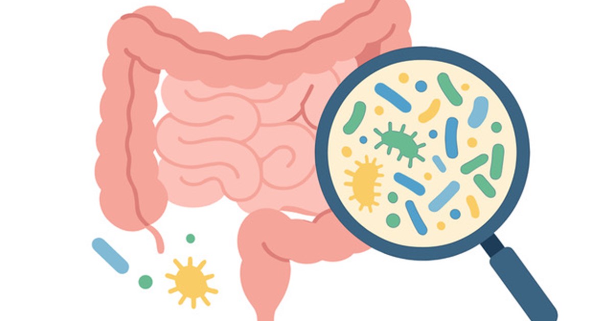 Tarmbakterier kan producera serotonin – nya möjligheter för behandling ...